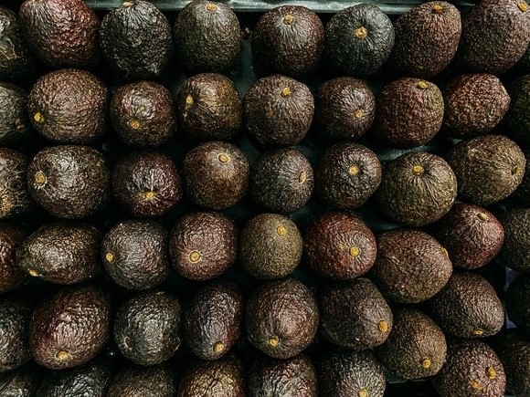 The Complete Guide to Importing Avocado into India (2026)