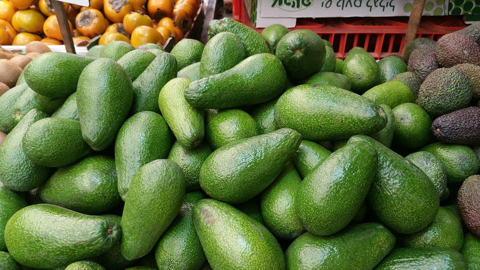 Egypt's Love of Kenya Avocados - Freshela Exporters